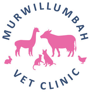 Murwillumbah Vet Clinic | Tweed Valley Pet Care | Open 6 Days a Week